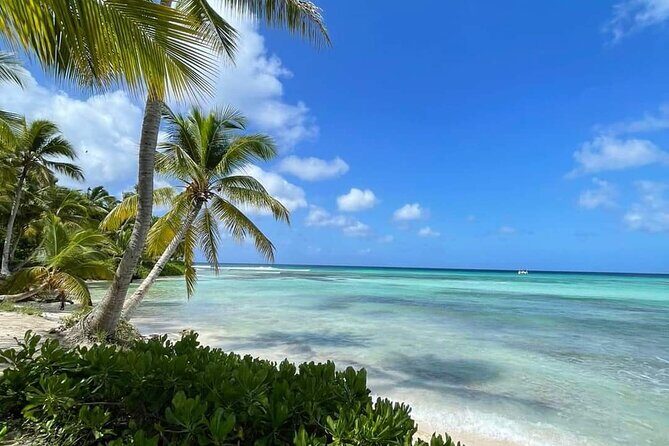 Catalina Snorkeling Wall and Altos Chavon Tour - Who Is This Tour Best For?