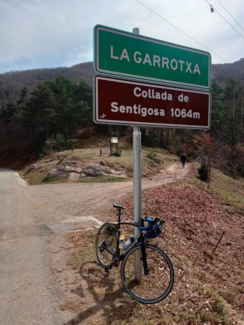 Catalonia: Cycling through city and beautiful landscapes - Authentic Experiences and Traveler Feedback