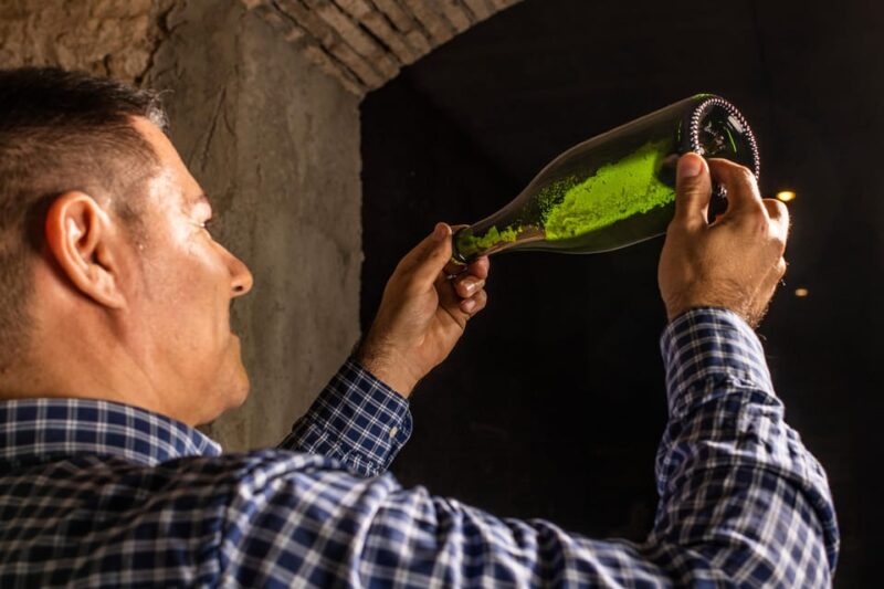 Catalonia: Unique, bespoke wine cellar visits - Who Will Love This Tour?