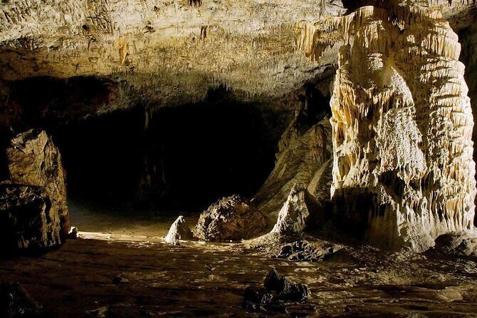 Catamaran Adventure to Dunn's River Falls and Green Grotto Caves - Who Will Love This Tour?