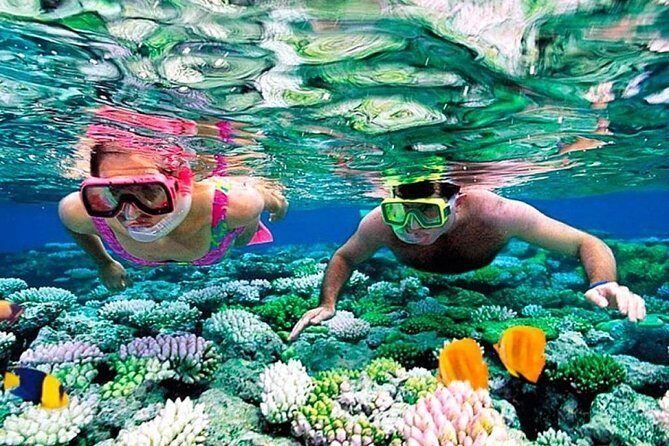 Catamaran adventure to Isla Mujeres with Snorkel,Buffet,Open Bar and Beach Club - FAQ