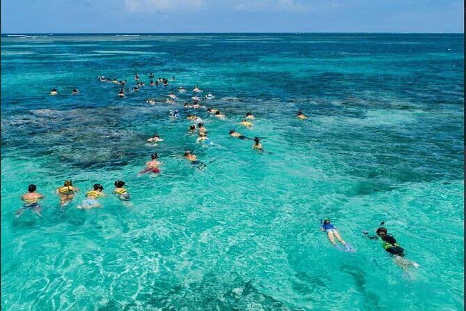 Catamaran and Snorkeling Party with Drink Included in Punta Cana - The Itinerary and What to Expect