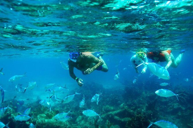 Catamaran Booze Cruise And Snorkeling Punta Cana - Adults Only - Introduction: A Fun-Filled Punta Cana Catamaran Experience