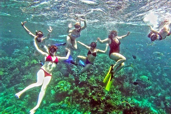 Catamaran Catalina Island Day Trip with Lunch - An Overview of the Experience