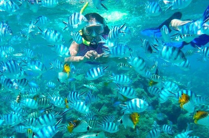 Catamaran Catalina Island Day Trip with Lunch - The Experience from a Traveler’s Perspective