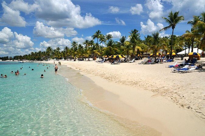 Catamaran Catalina Island Day Trip with Lunch - Who Should Consider This Tour?