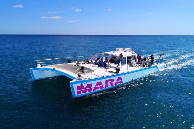 Catamaran Cruise: Caves and Coastline to Benagil - Experience and Comfort