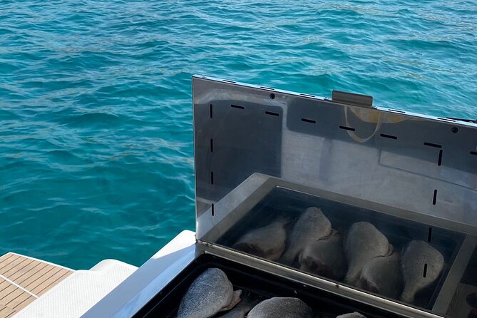 Catamaran cruise in the Frioul Archipelago in Marseille - Who Will Love This Tour?