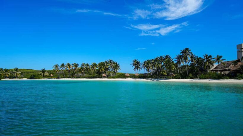 Catamarán Cruise to Isla Mujeres & Buffet Lunch - Key Points
