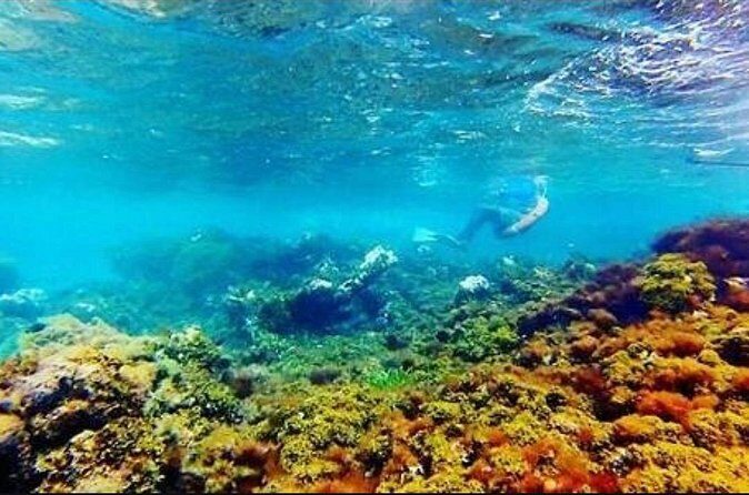 Catamaran Cruise with Dunns River Falls from Montego Bay - A Closer Look at the Itinerary and What You Can Expect