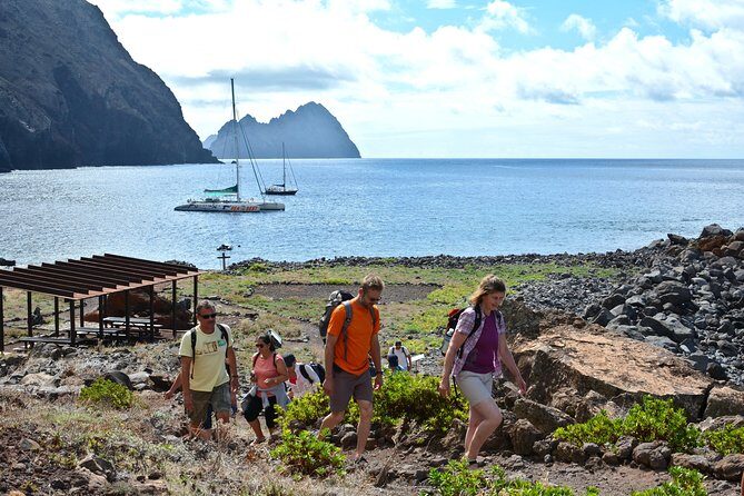 Catamaran Day Cruise to Desertas Islands from Funchal - Key Points
