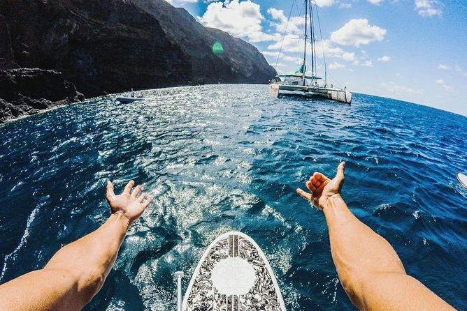 Catamaran Day Cruise to Desertas Islands from Funchal - The Water Activities and Natural Beauty