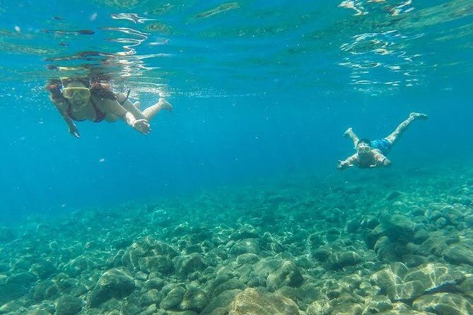 Catamaran Day Cruise to Desertas Islands from Funchal - Authentic Experiences and Traveler Feedback