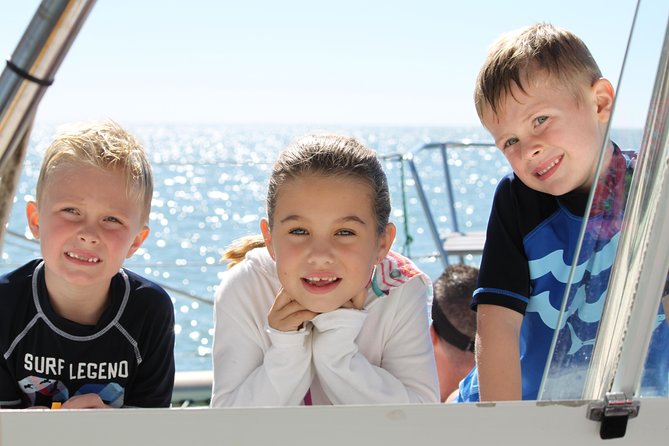 Catamaran Day Sail Shelling Excursion 42ft. Mainecat Cool Beans - Wildlife and Photography Opportunities