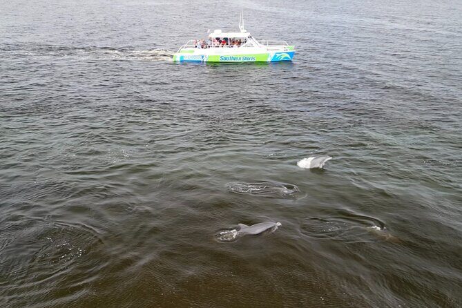 Catamaran Dolphin Cruise in Myrtle Beach with Barrier Island Stop - What Past Travelers Say
