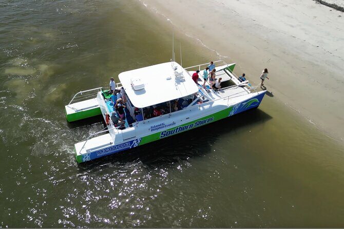 Catamaran Dolphin Cruise in Myrtle Beach with Barrier Island Stop - Final Thoughts