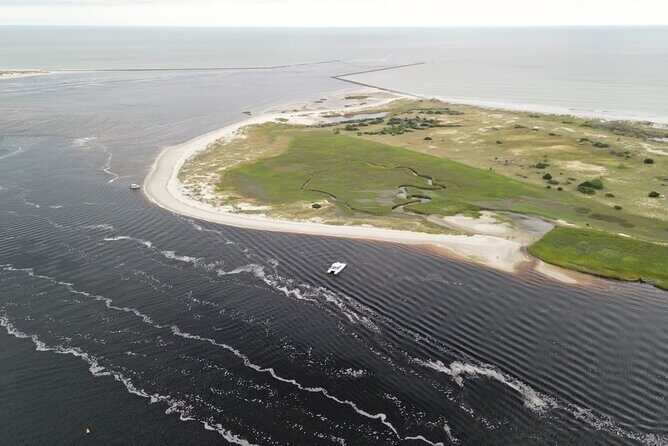 Catamaran Dolphin Cruise in Myrtle Beach with Barrier Island Stop - FAQ