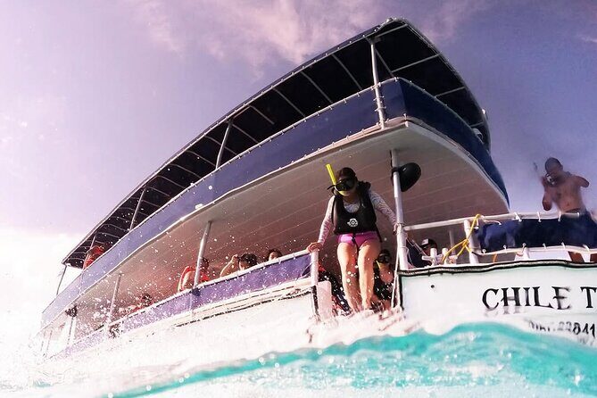 Catamaran Excursion + Open bar + Snorkeling at El Cielo - Ending at El Cielito Beach