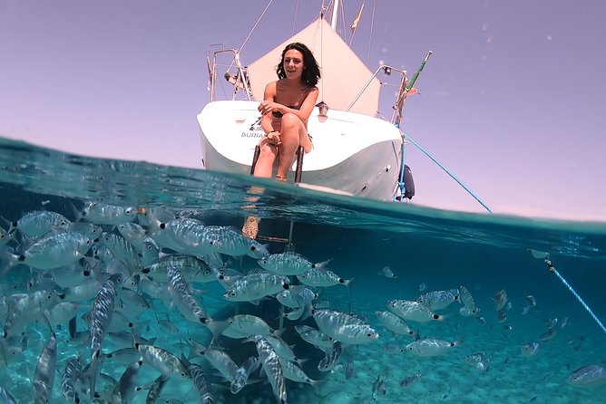 Catamaran excursions in the Asinara island National park - Who will love this experience