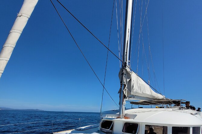 Catamaran From La Caletta - Sardinia - Capo Comino-Berchida - Pricing and Cancellation Policy
