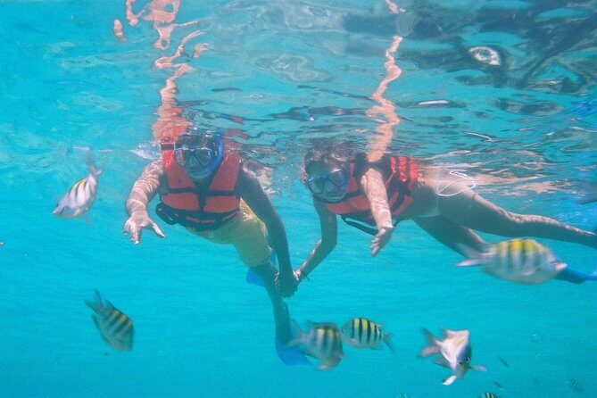 Catamaran Isla Mujeres Tour with Hotel Pick Up included - The Itinerary Breakdown: What to Expect