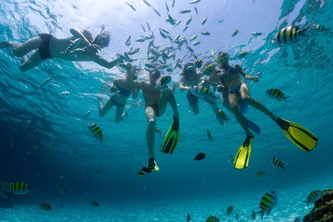 Catamaran Isla Mujeres Tour with Hotel Pick Up included - Authentic Experiences and Traveler Perspectives