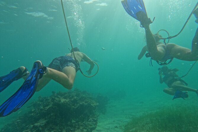 Catamaran Party and Hooka Diving Experience - Who Should Consider This Tour?