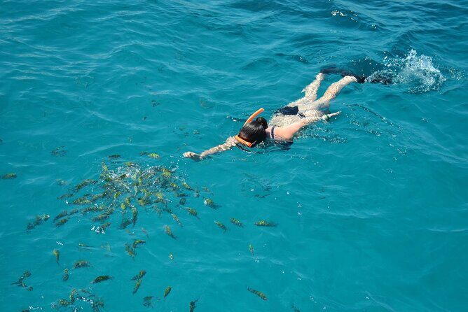 Catamaran Party Cruise To Dunns River Falls - The Scenic Catamaran Cruise