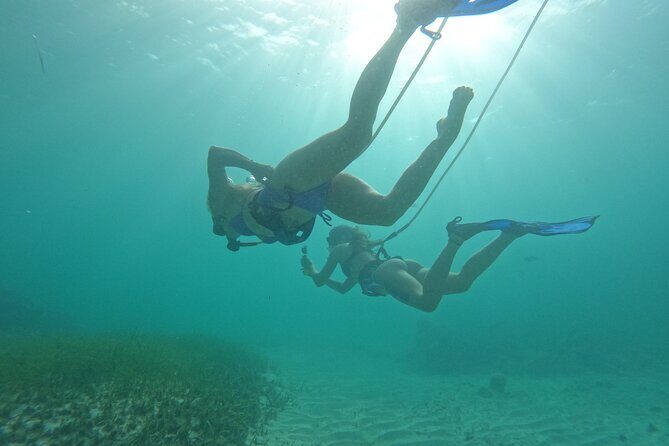 Catamaran Party, Hooka Diving and Paragliding Tour - Final Thoughts: Who Should Consider This Tour?