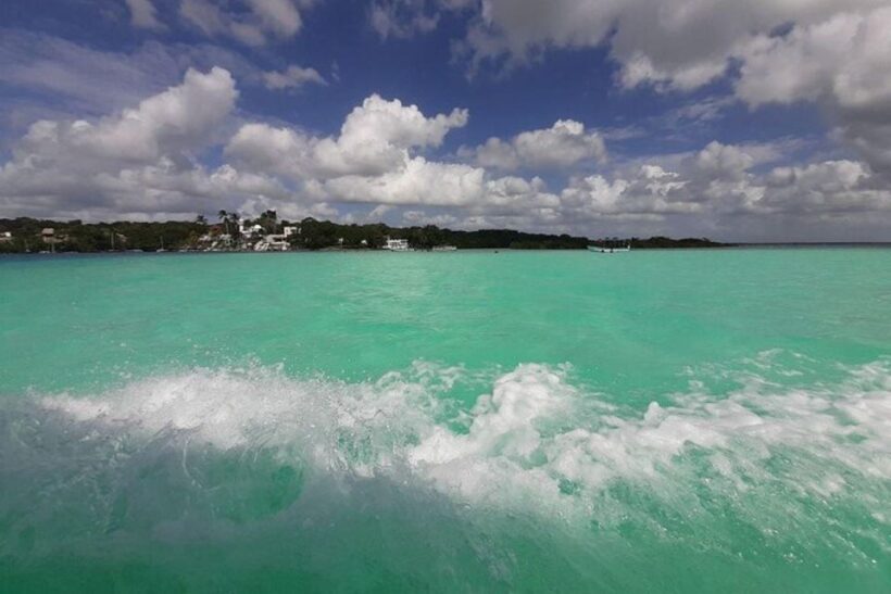 Catamaran party Isla Mujeres with drinks & lunch - Who Is This Tour Best For?