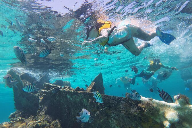Catamaran Plus Reef Snorkeling and Isla Mujeres Visit - The Authentic Touch: What Travelers Say