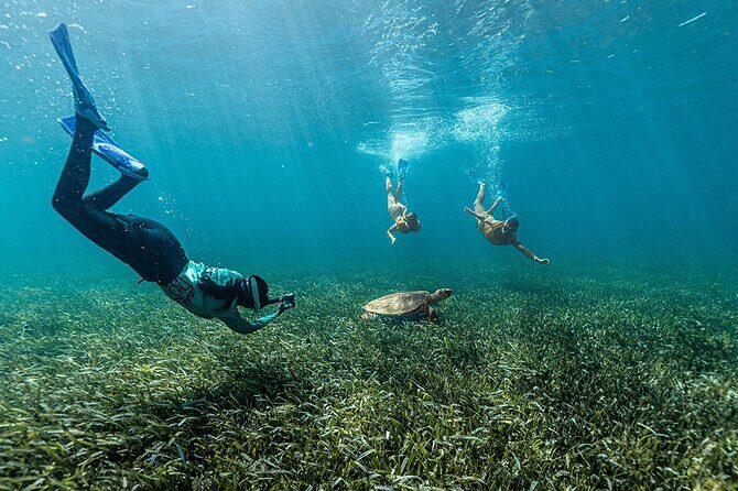 Catamaran Plus Reef Snorkeling and Isla Mujeres Visit - Practical Tips for Your Trip