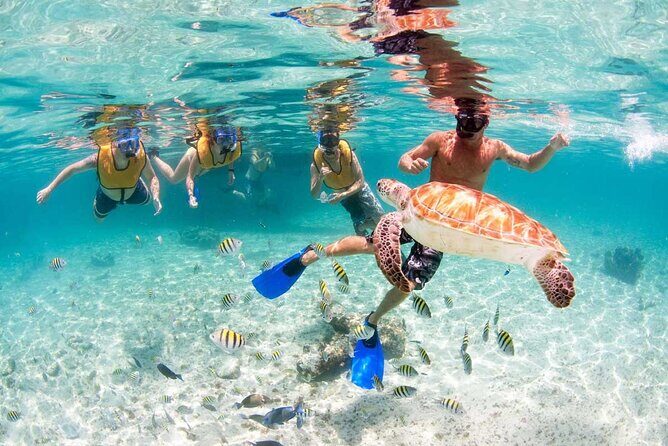 Catamaran Plus Tour to Isla Mujeres with National Open Bar from Cancun - The Group Size and Booking Details