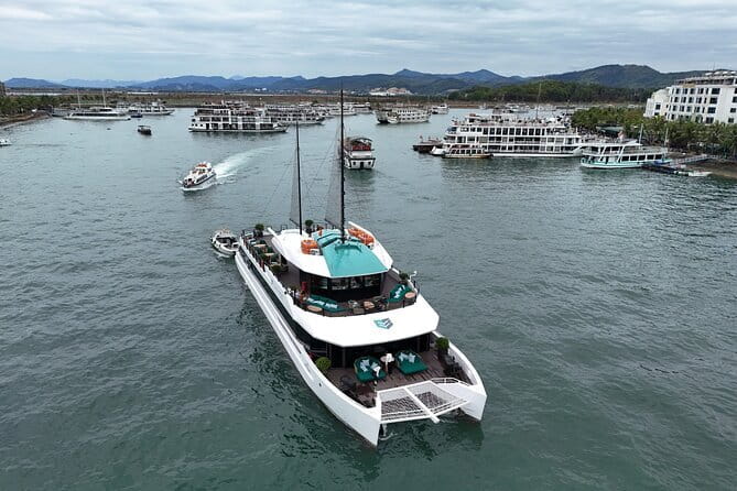 Catamaran Premium Cruise to Halong Bay & Lan Ha Bay in 1 Day Tour - Key Points