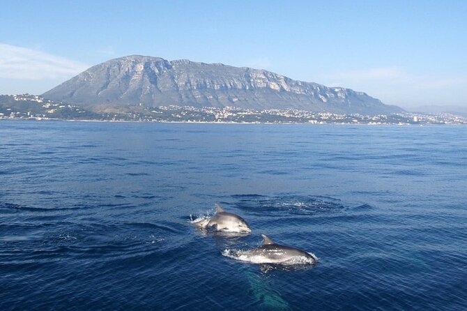 Catamaran ride with aperitif and white wine from Denia - What the Reviews Say