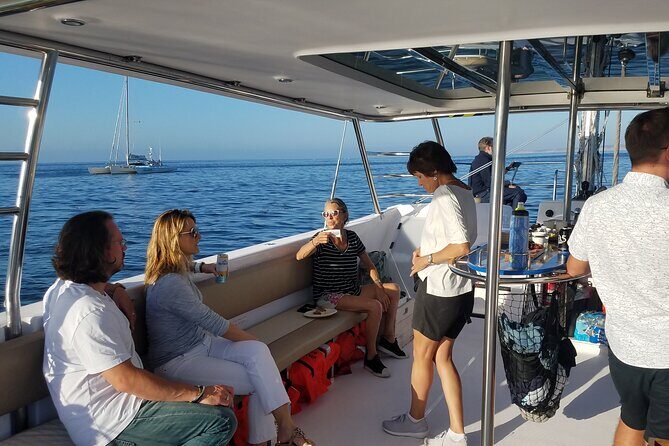 Catamaran Sailing Cruise in Monterey - The Journey: What to Expect on Your Monterey Bay Catamaran Cruise
