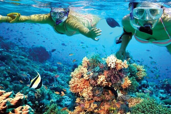 Catamaran Sailing to Isla Mujeres with Snorkeling, Lunch & Open Bar included - Who Will Love This Tour?