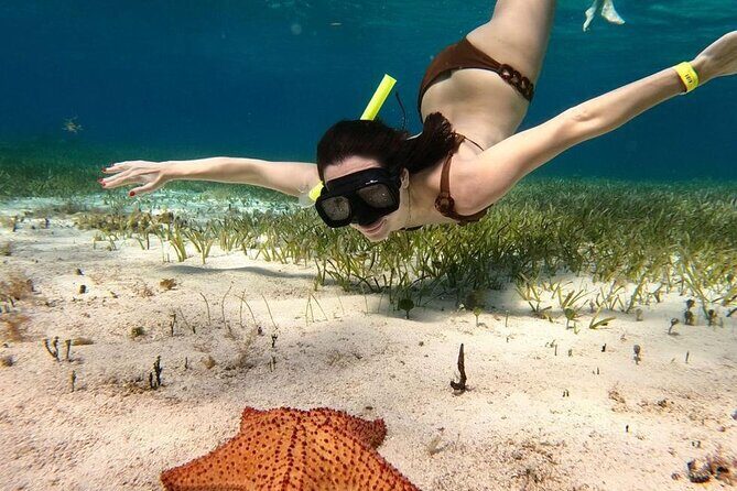 Catamaran Sky Tour in Cozumel - FAQs