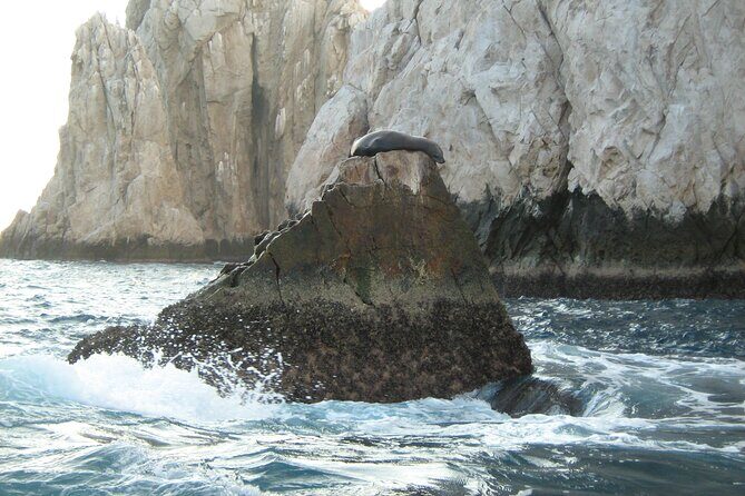 Catamaran Snorkel at Los Cabos! Gorgeous Snorkel & Party + Round Transportation - Practical Details and Considerations