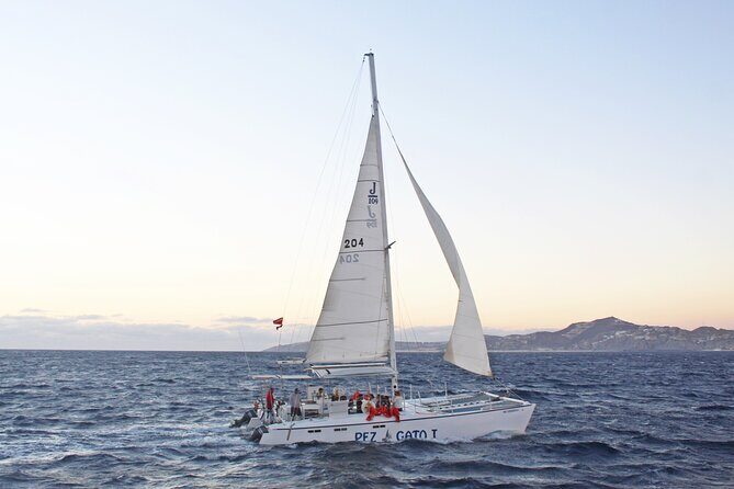 Catamaran Snorkel at Los Cabos! Gorgeous Snorkel & Party + Round Transportation - Authentic Insights from Past Travelers