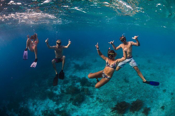 Catamaran Snorkel & BBQ Sail (cruise friendly) - The Authentic Bonaire Experience