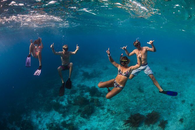 Catamaran Snorkel & BBQ Sail (cruise friendly) - Who Should Book This Tour?