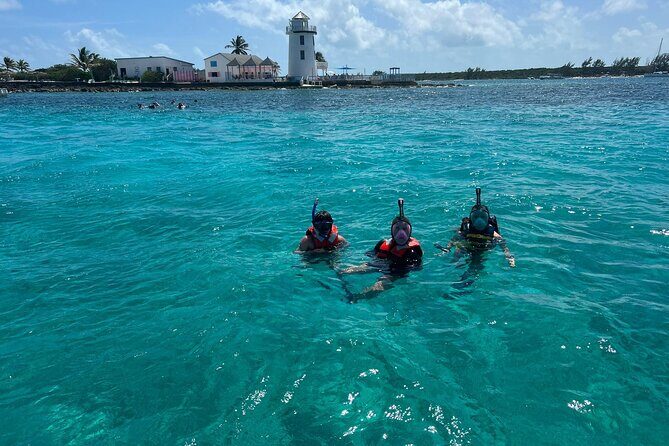 Catamaran Snorkel & Beach Day with Turtles - Key Points