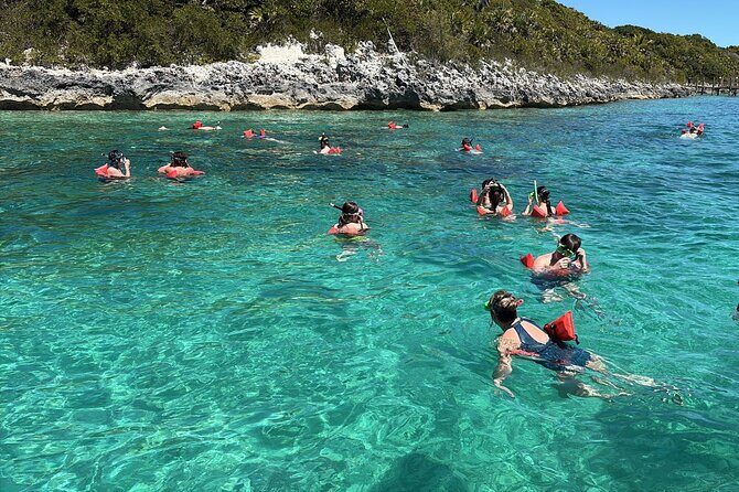 Catamaran Snorkel & Beach Day with Turtles - What Travelers Say & Why It Matters