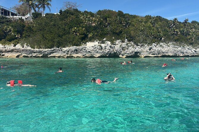 Catamaran Snorkel & Beach Day with Turtles - Practical Details & What to Expect