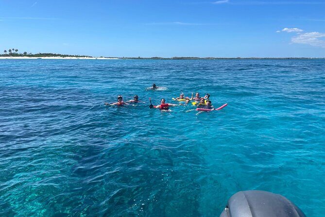 Catamaran Snorkel & Beach Day with Turtles - The Sum Up