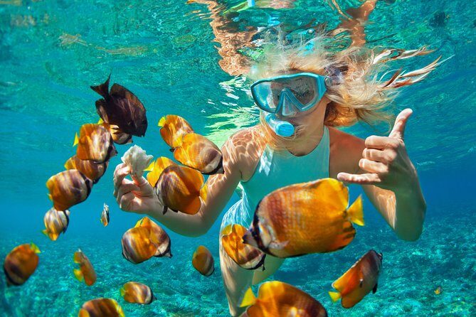 Catamaran Snorkeling All-Inclusive Day-Trip - Key Points