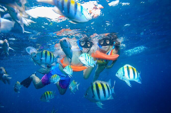 Catamaran Snorkeling Tour from Cancun with Buffet Lunch - Final Thoughts