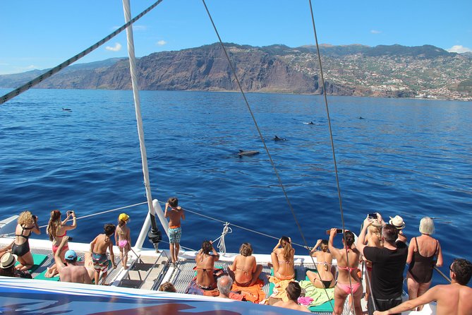 Catamaran Sunset Cruise from Funchal - FAQ