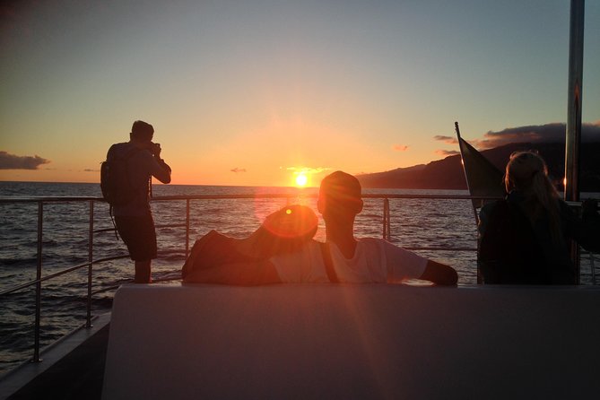 Catamaran Sunset Cruise From Funchal Review - About Your Stay